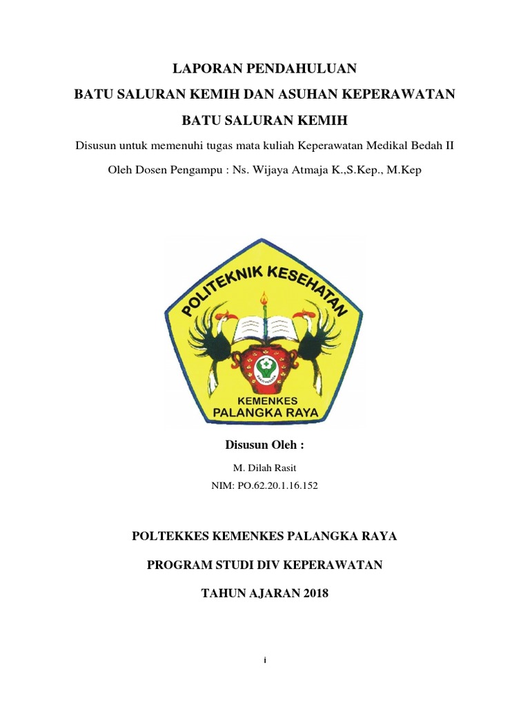 LP Batu Saluran Kemih | PDF