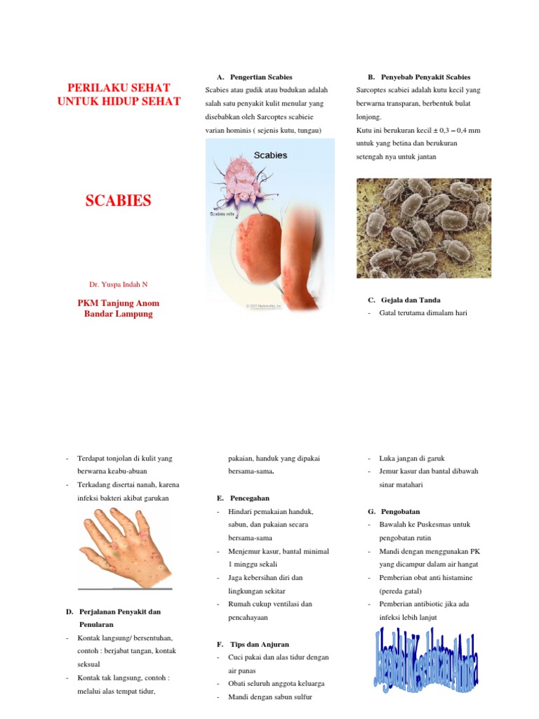 Leaflet Scabies | PDF