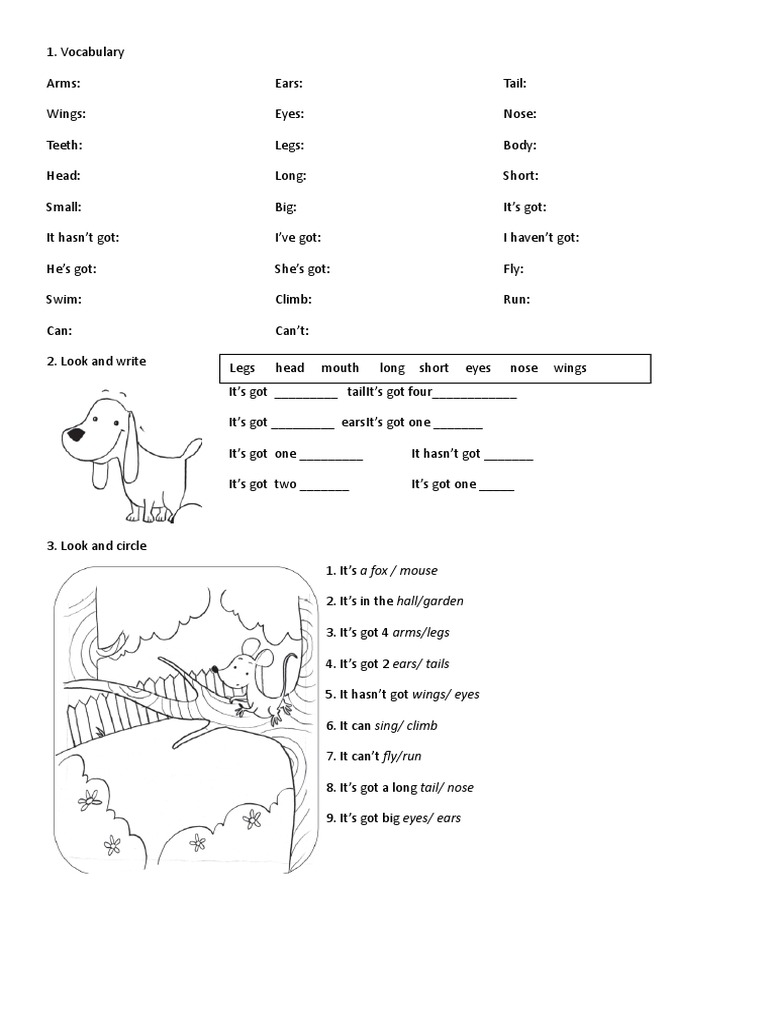 Vocabulary Activities for Kids | PDF | Language Arts & Discipline ...