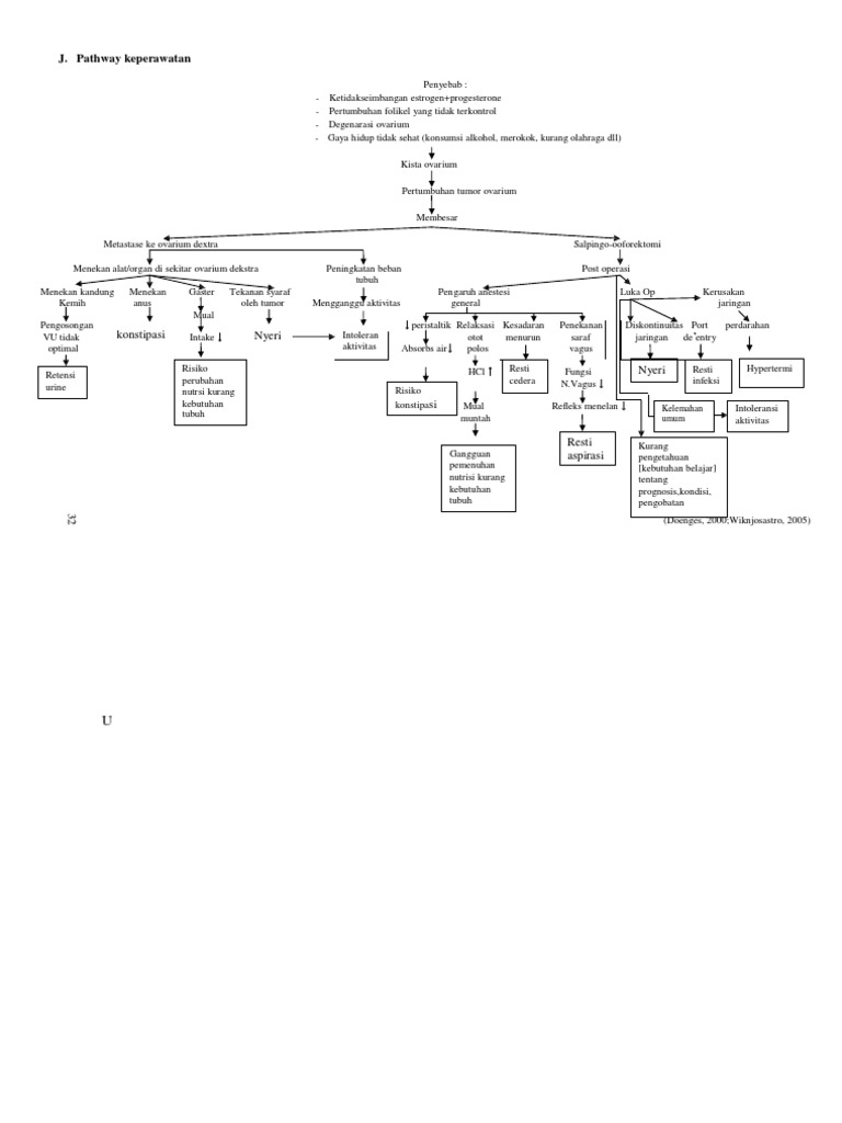 Pathway Salpingo-Ooforektomi dan Kista Ovarium | PDF