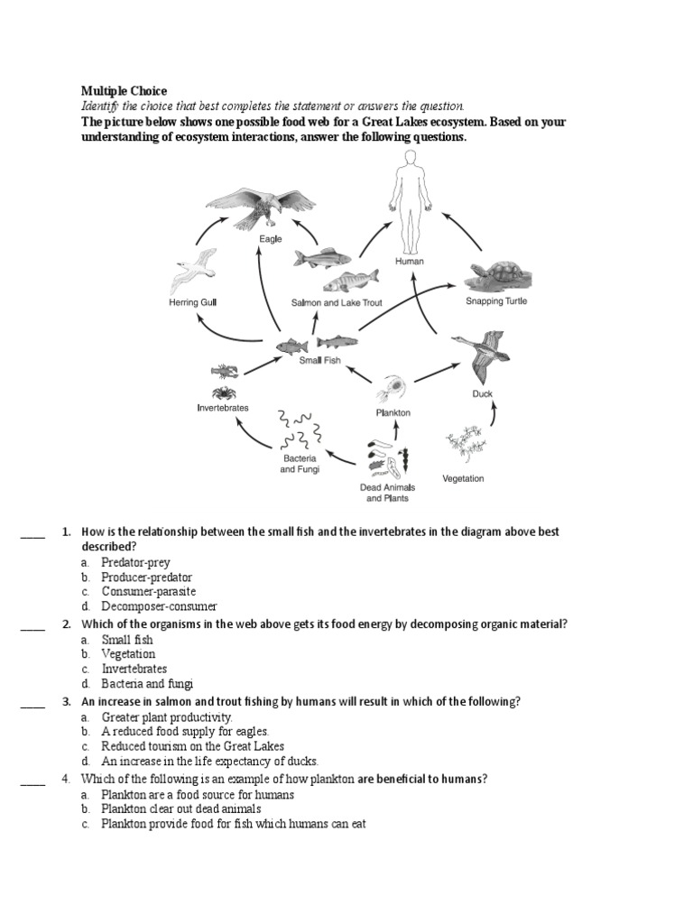7th Grade Unit 7 Ecosystems Assessment PKT | PDF | Predation | Ecosystem