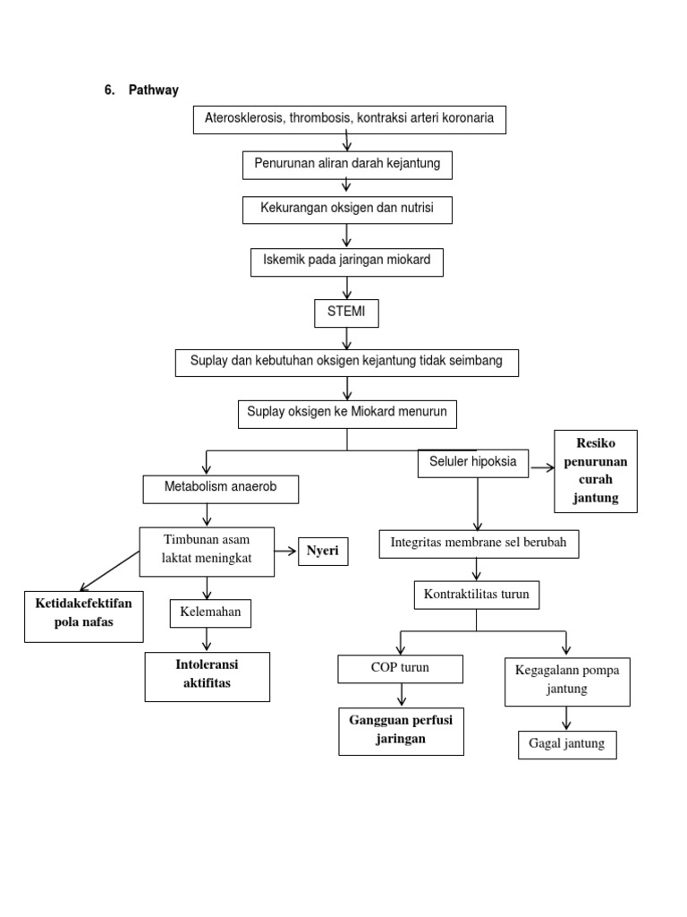 Pathway Stemi Pdf