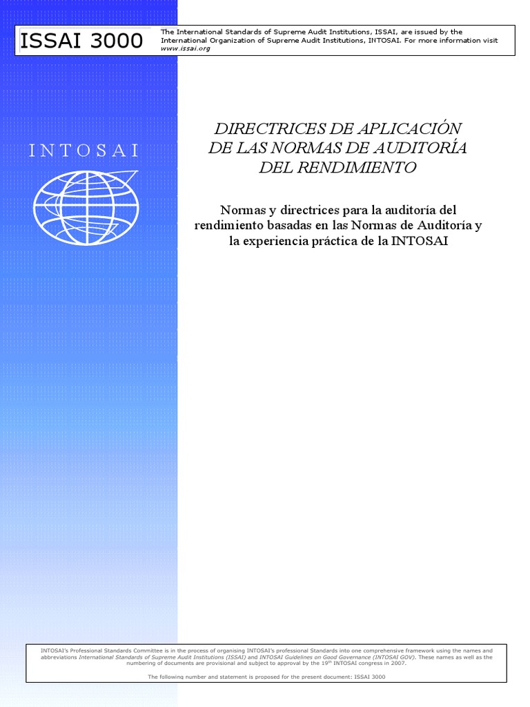 ISSAI 3000: Performance Audit Guidelines | PDF | Quality (Business ...