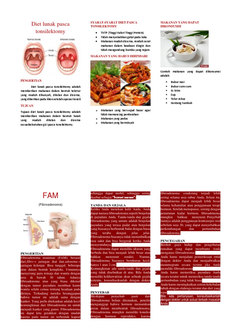 Diet Lunak Pasca Tonsilektomy | PDF