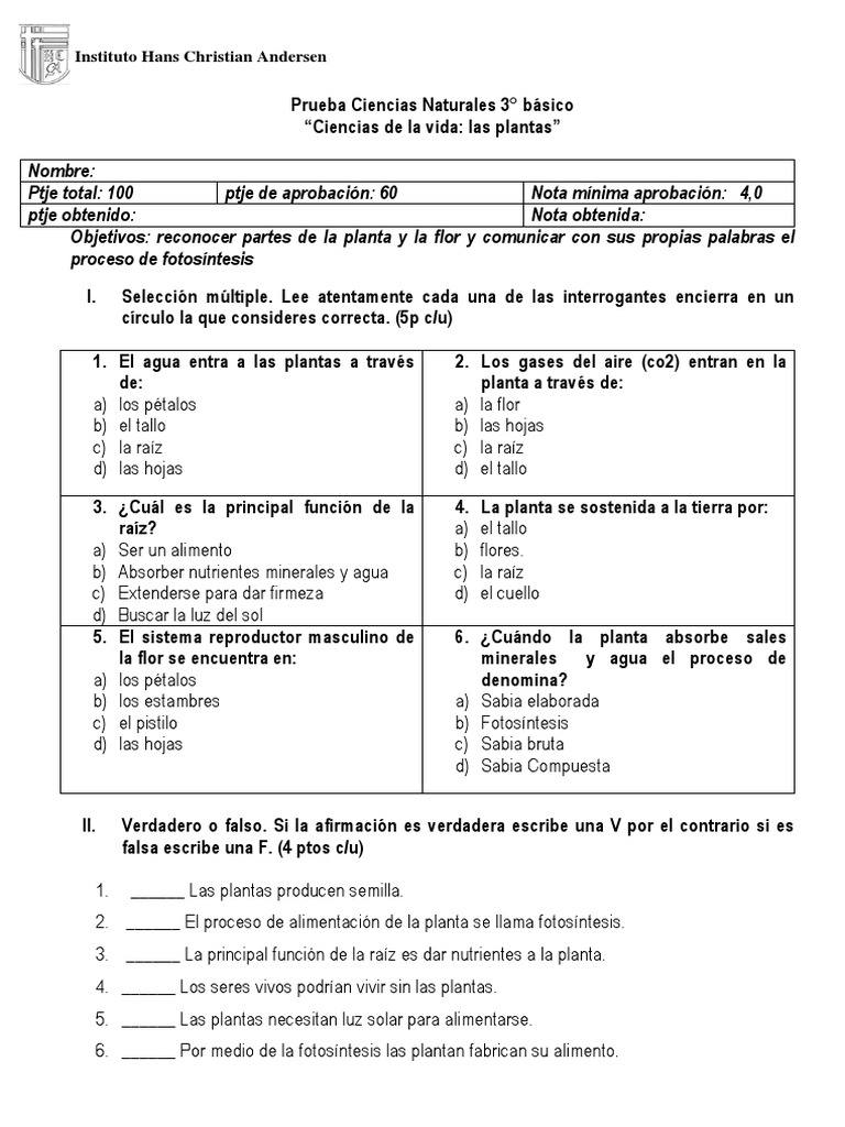 Prueba sobre las plantas para 3° básico | PDF | Plantas | Flores