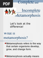 5 E Lesson Plan For Second Grade Life Cycles | PDF | Pupa | Butterfly