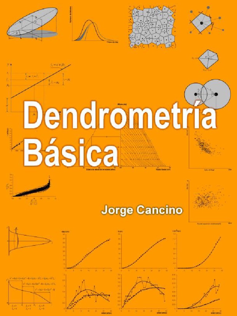 Dendrometria Basica PDF | Análisis de regresión | Volumen