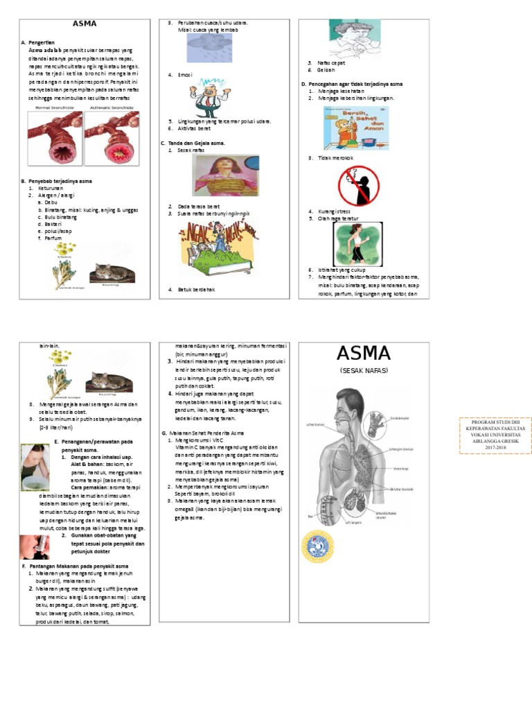 Leaflet Asma | PDF