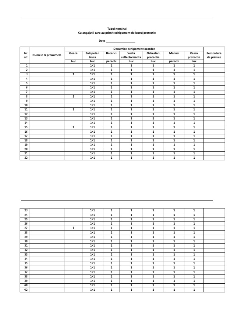 Tabel Acordare Echipament SSM | PDF