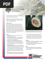 Bridge Grafting and Inarching Damaged Fruit Trees | PDF | Grafting | Trees