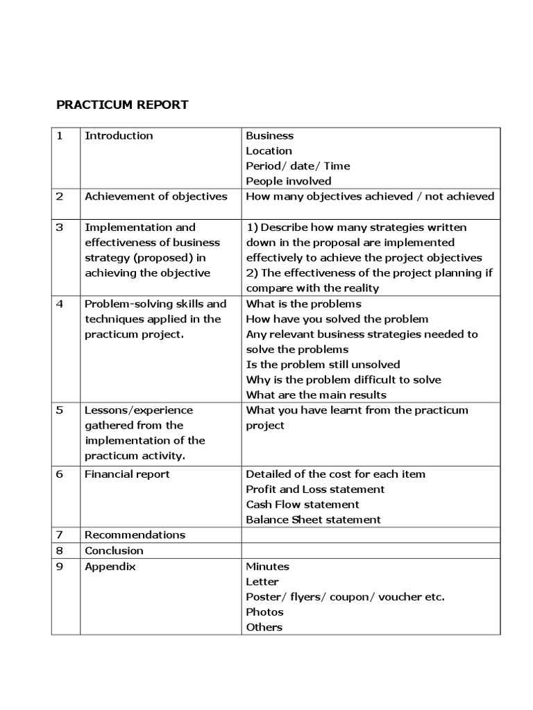 Practicum Report - Doc081111 | PDF | Career & Growth | Business