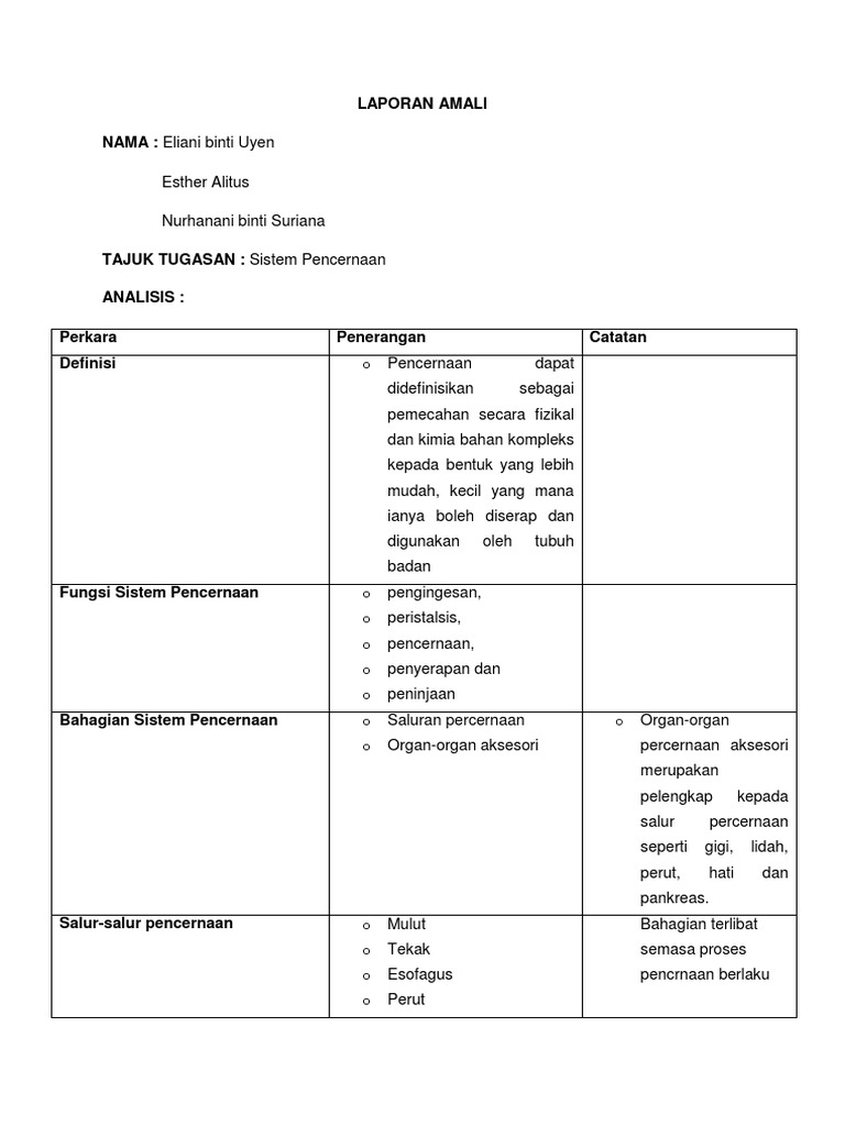 Laporan Amali Pencernaan | PDF | Kesehatan Holistik