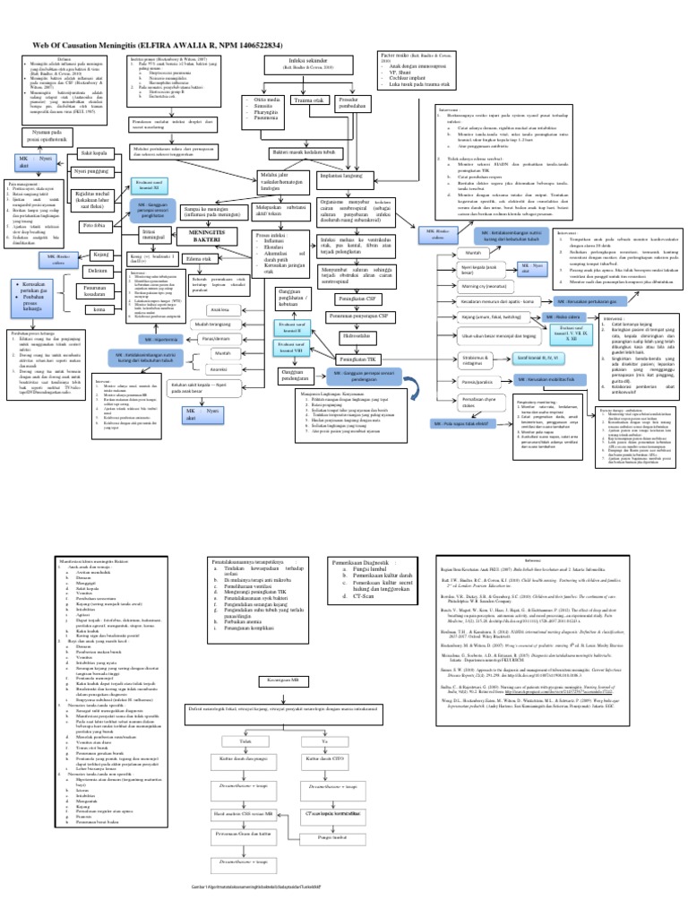 8 WOC Meningitis | PDF