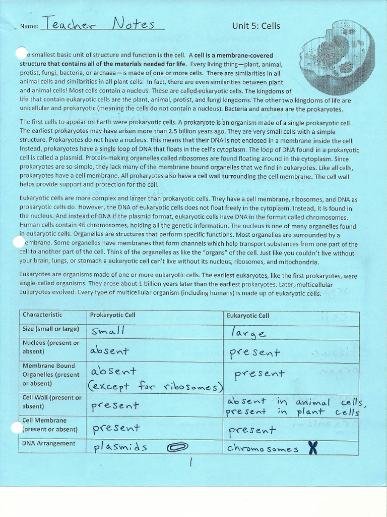 Unit 5 Teacher Notes Part 1 | PDF