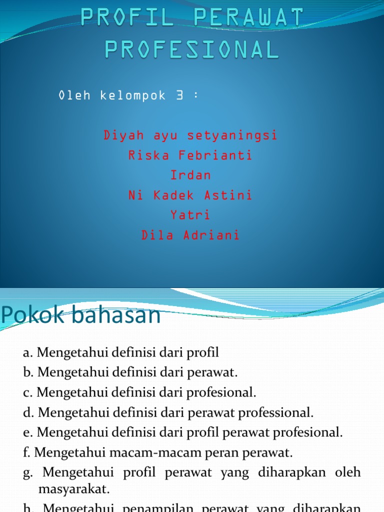 Profil Perawat Profesional | PDF
