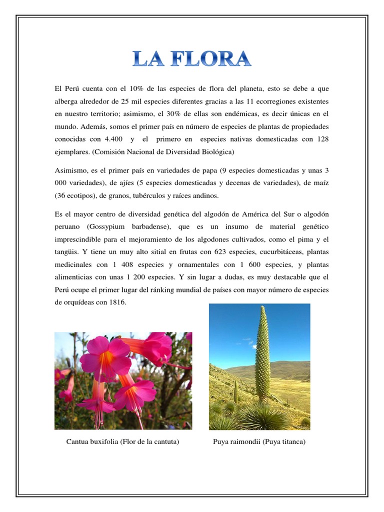 La Flora Peruana | PDF