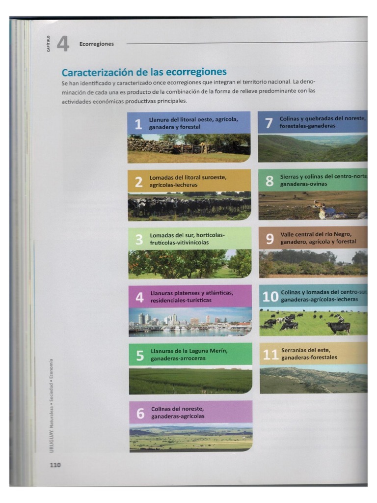 Ecor Region Es | PDF