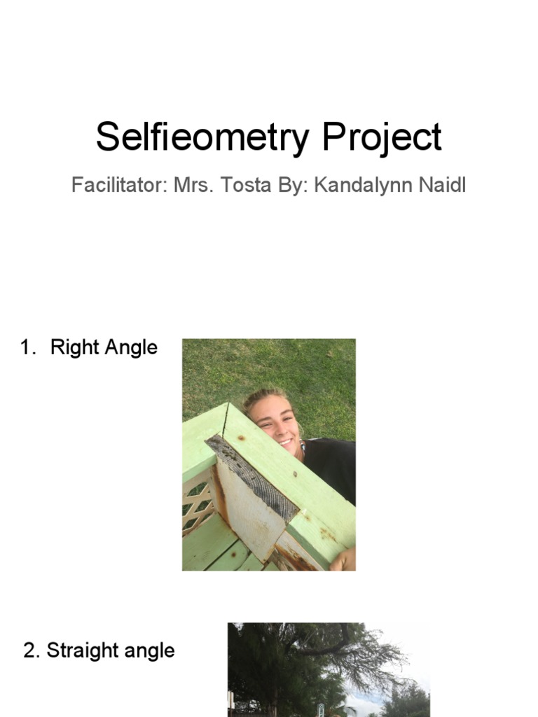 Selfieometry Project | PDF