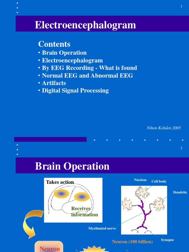 EEG - Basic | PDF | Electroencephalography | Brain