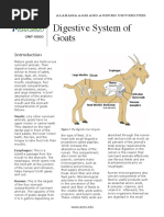 Acute Constipation NCP | PDF | Constipation | Digestive Diseases