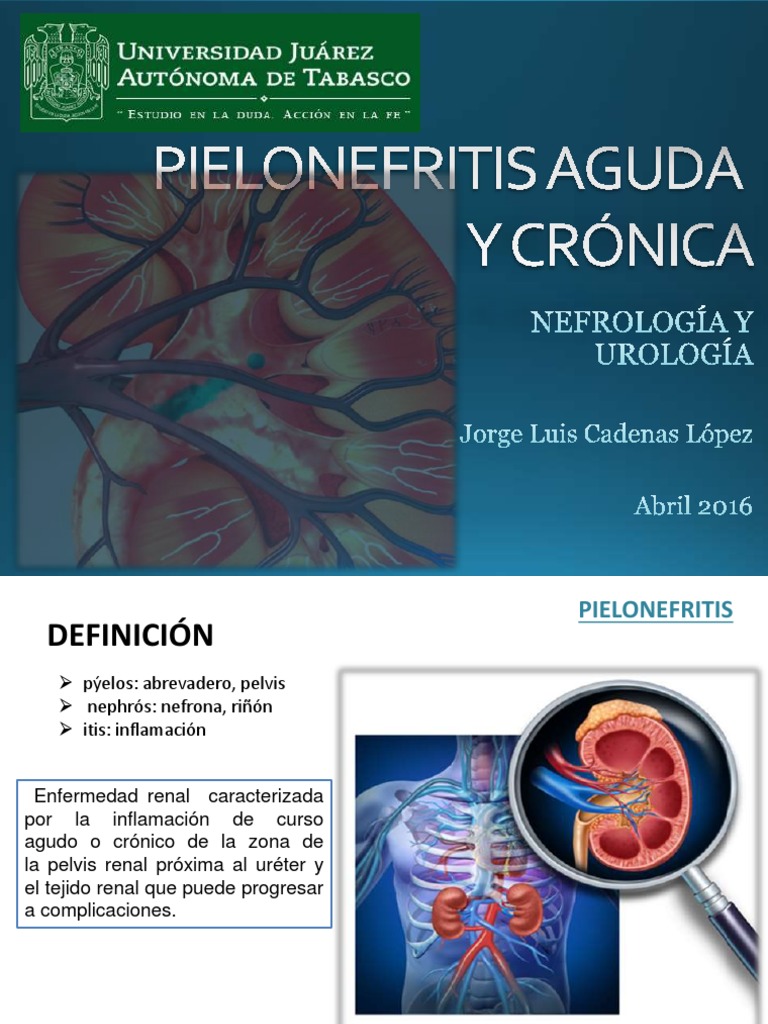 Pielonefritis 160630020909 | PDF | Inmunología | Enfermedades y trastornos
