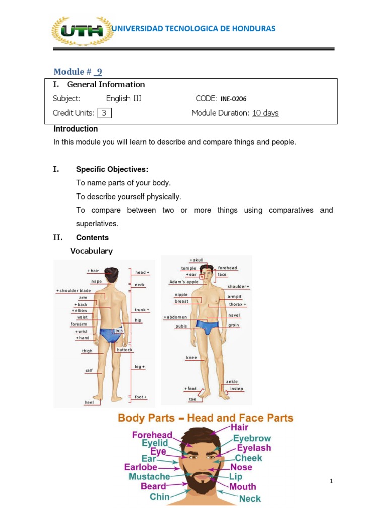English III Module 9 Face and Body Parts Comparatives and Superlatives ...