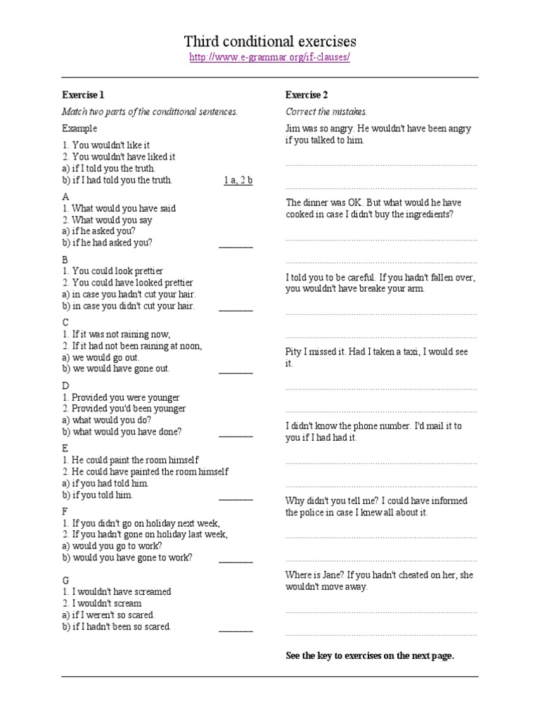Third Conditional Worksheet PDF | PDF