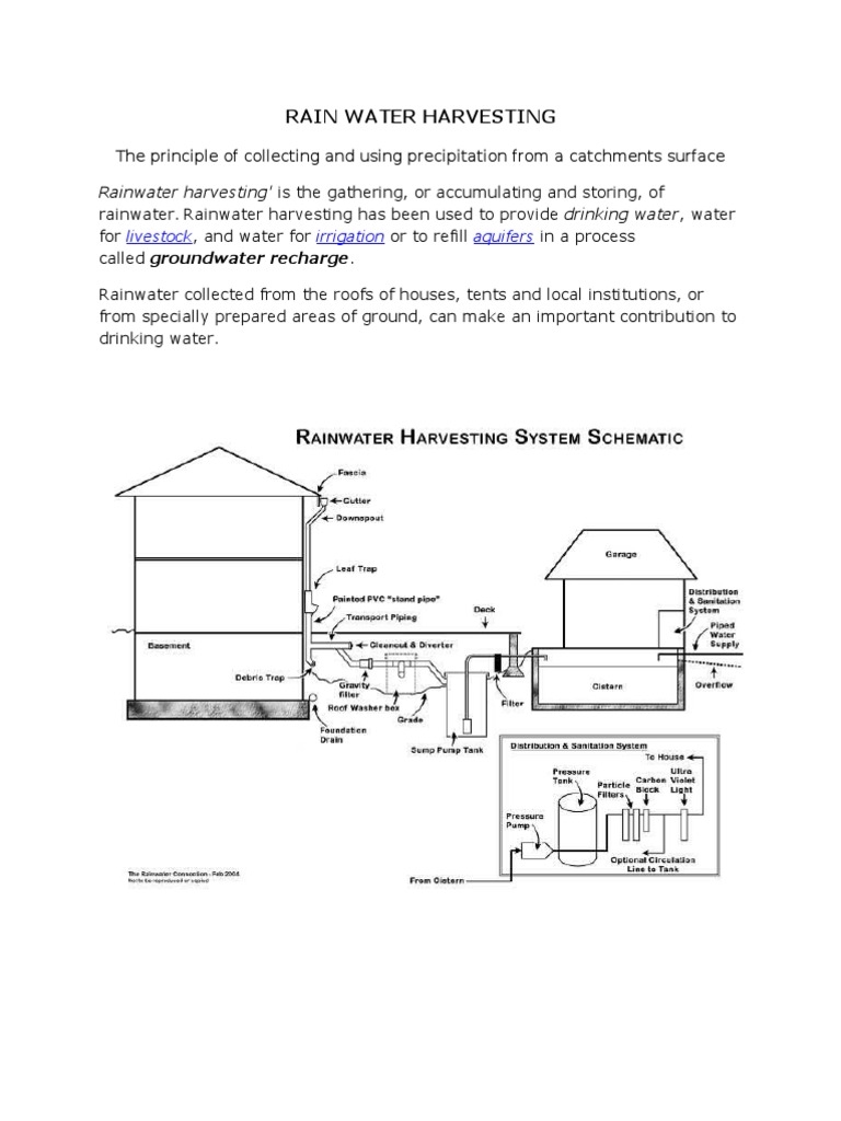 Rain Water Harvesting | PDF | Child Labour | Rain