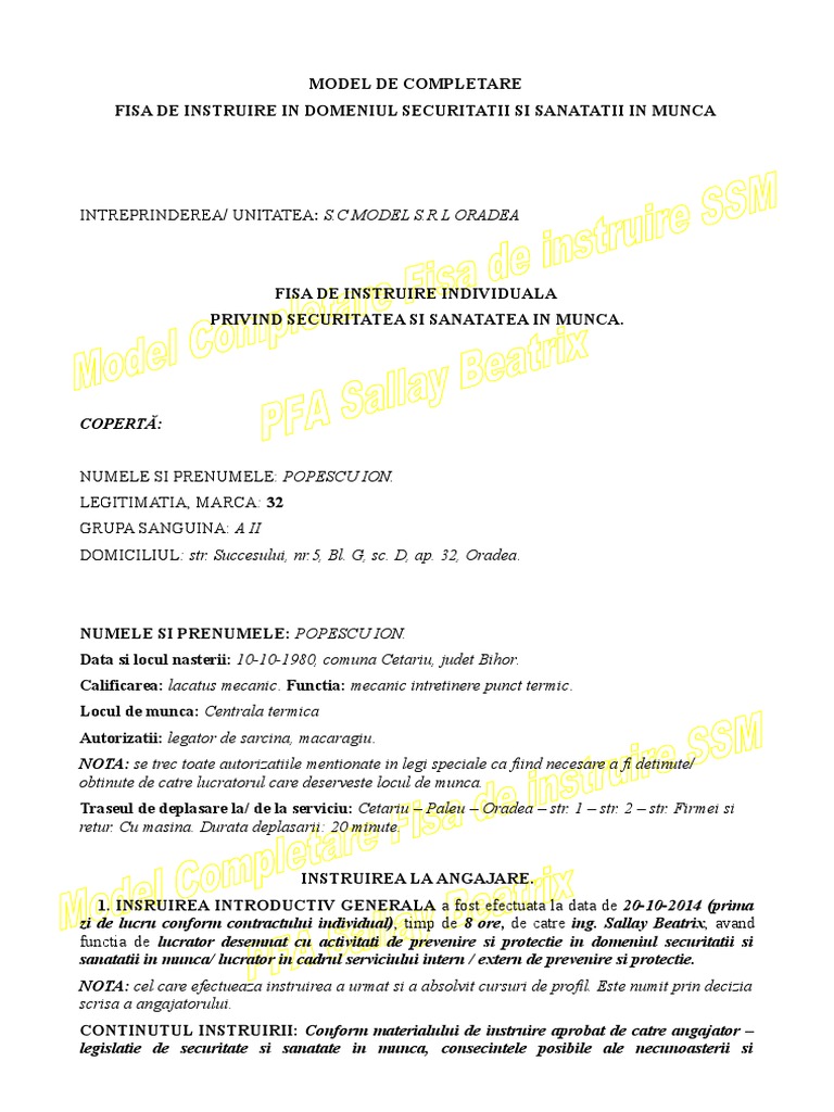 Model Fisa de Instruire SSM PDF | PDF