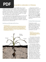 The Polyester Prince - The Rise of Dhirubhai Ambani - Hamish McDonald ...