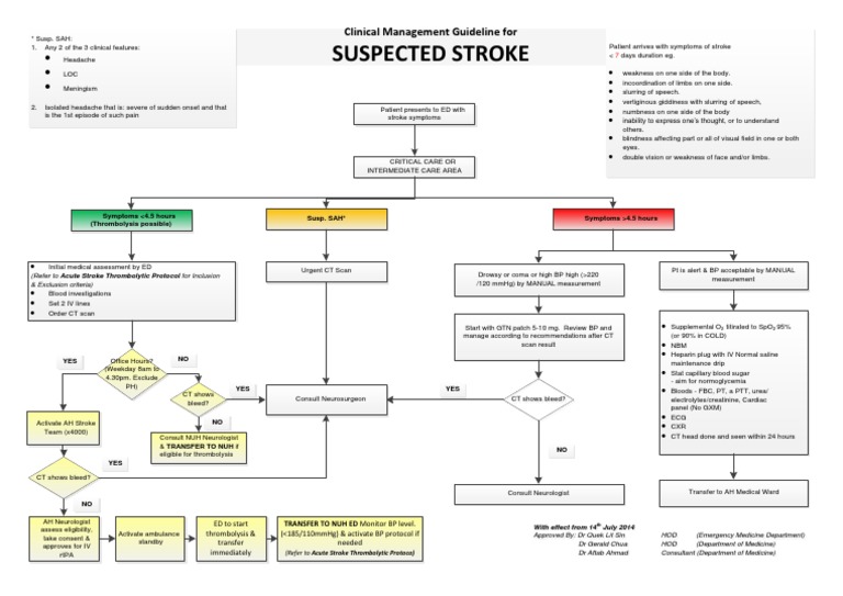 Clinical Management Guideline for SUSPECTED SAH | PDF | Stroke | Headache