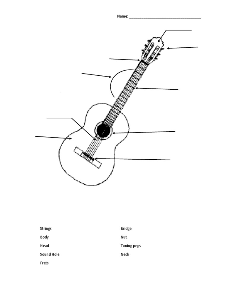 Guitar Anatomy Worksheet | PDF
