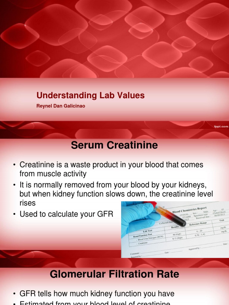 Understanding Lab Values: Reynel Dan Galicinao | PDF