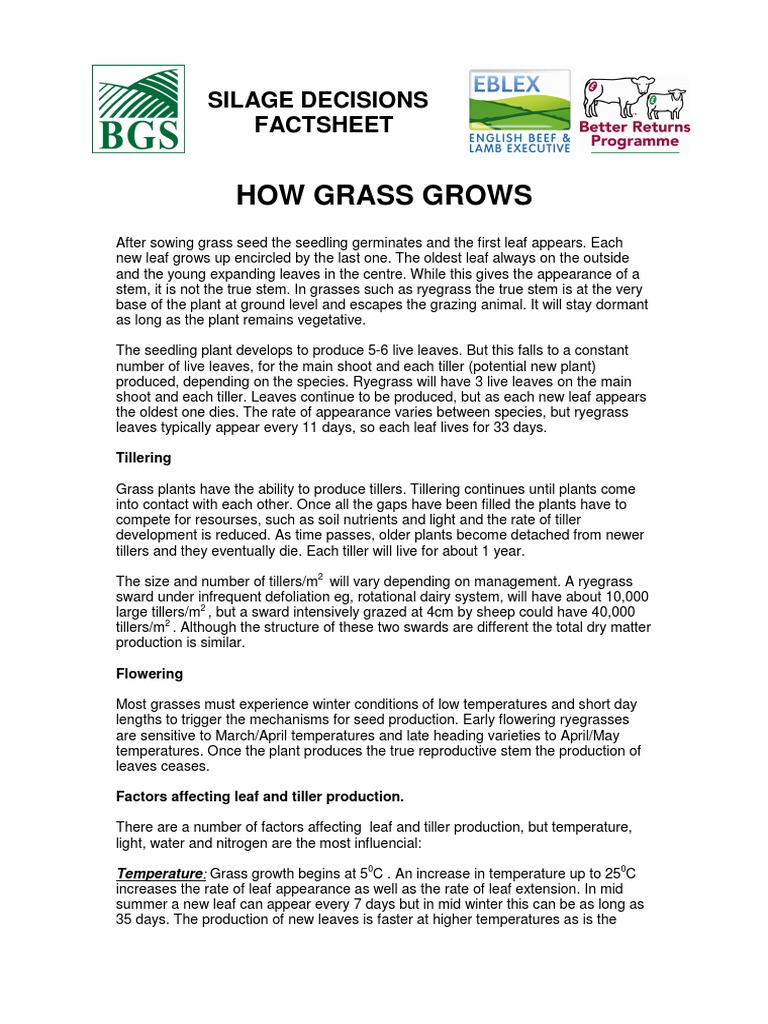 How Grass Grows Final 2 | PDF | Leaf | Plants