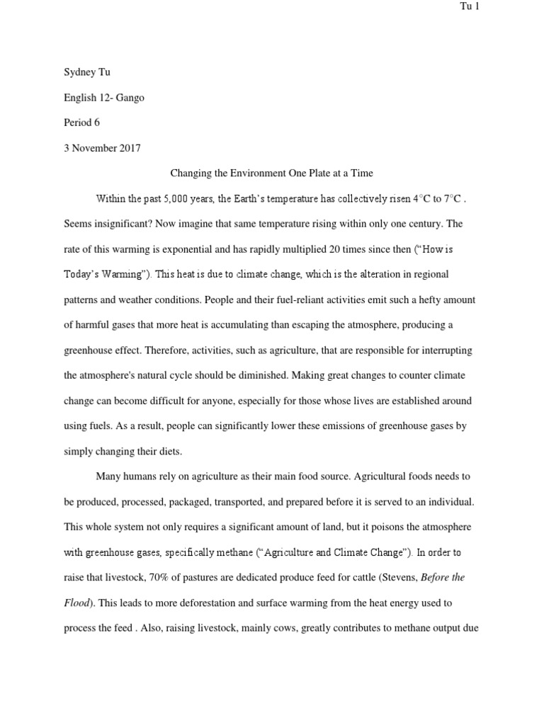 Argumentative Essay - Climate Change | PDF | Greenhouse Gas | Global ...