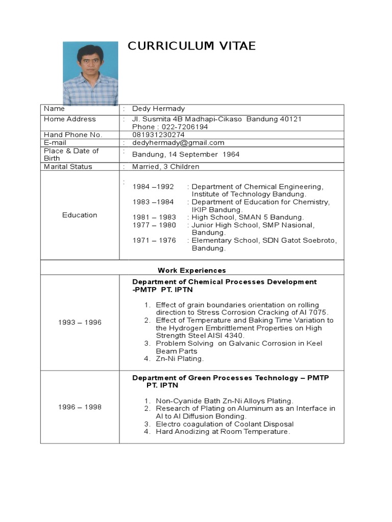Curriculum Vitae | PDF | Gasification | Waste Management