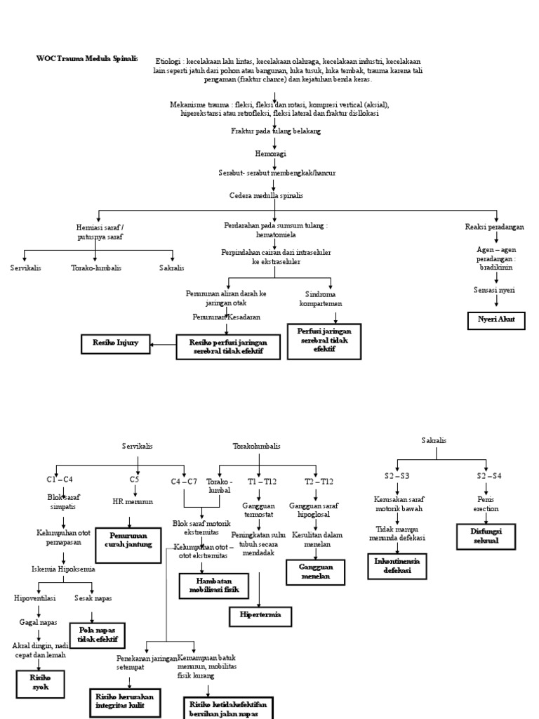 WOC Trauma Medula Spinalis | PDF