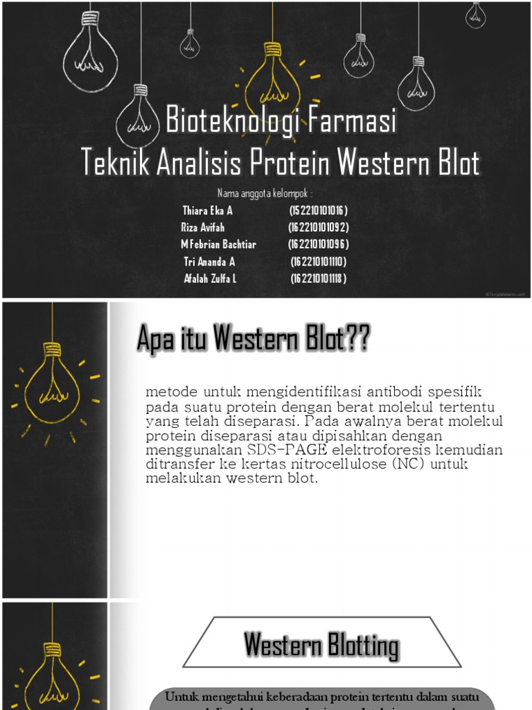 Western Blot | PDF