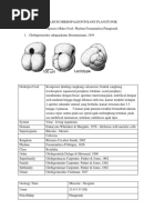 Deskripsi Fosil Foraminifera Rotalidia | PDF
