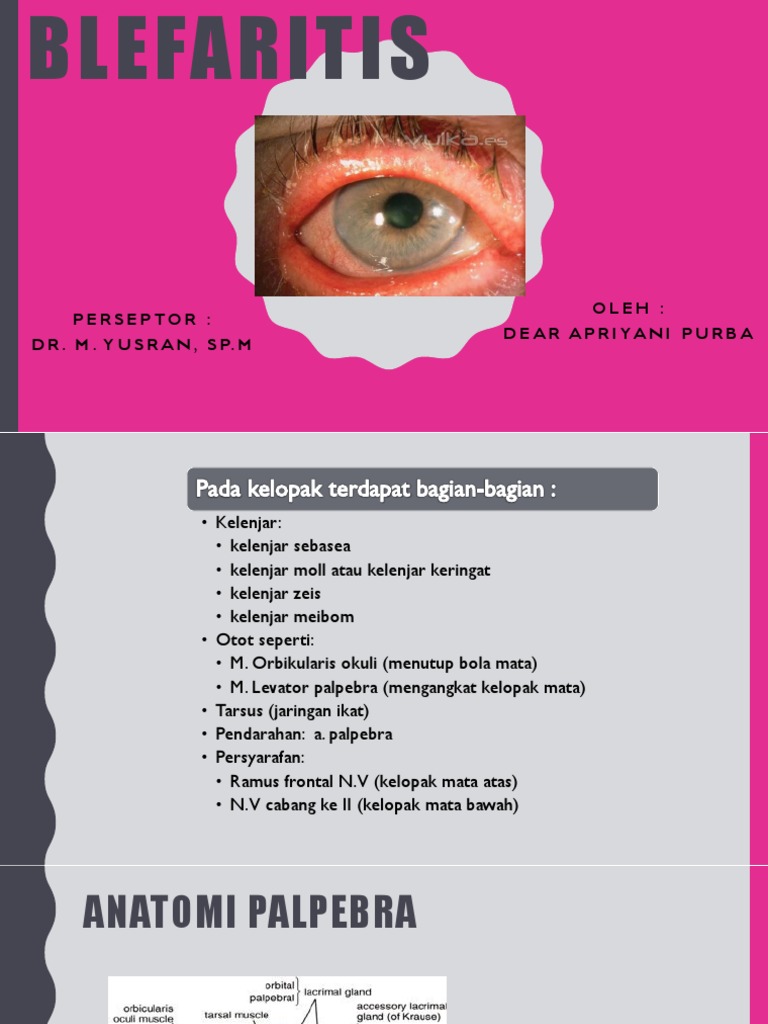 Panduan Lengkap Blefaritis | PDF