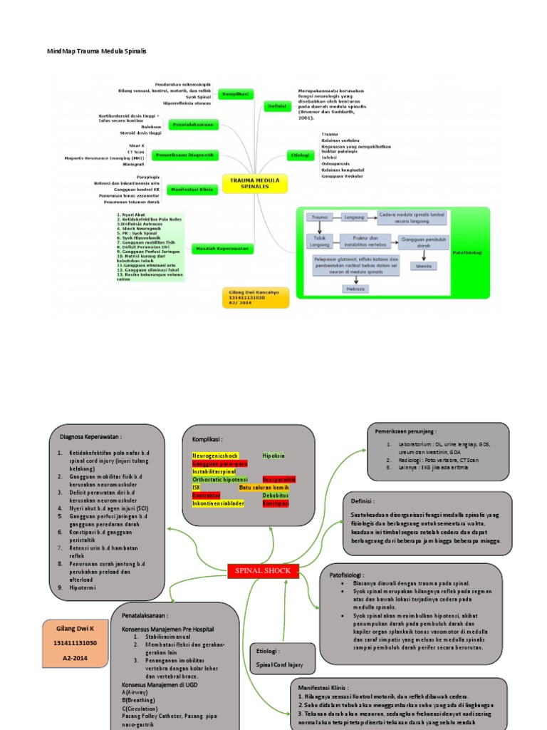 MindMap Trauma Medula Spinalis | PDF