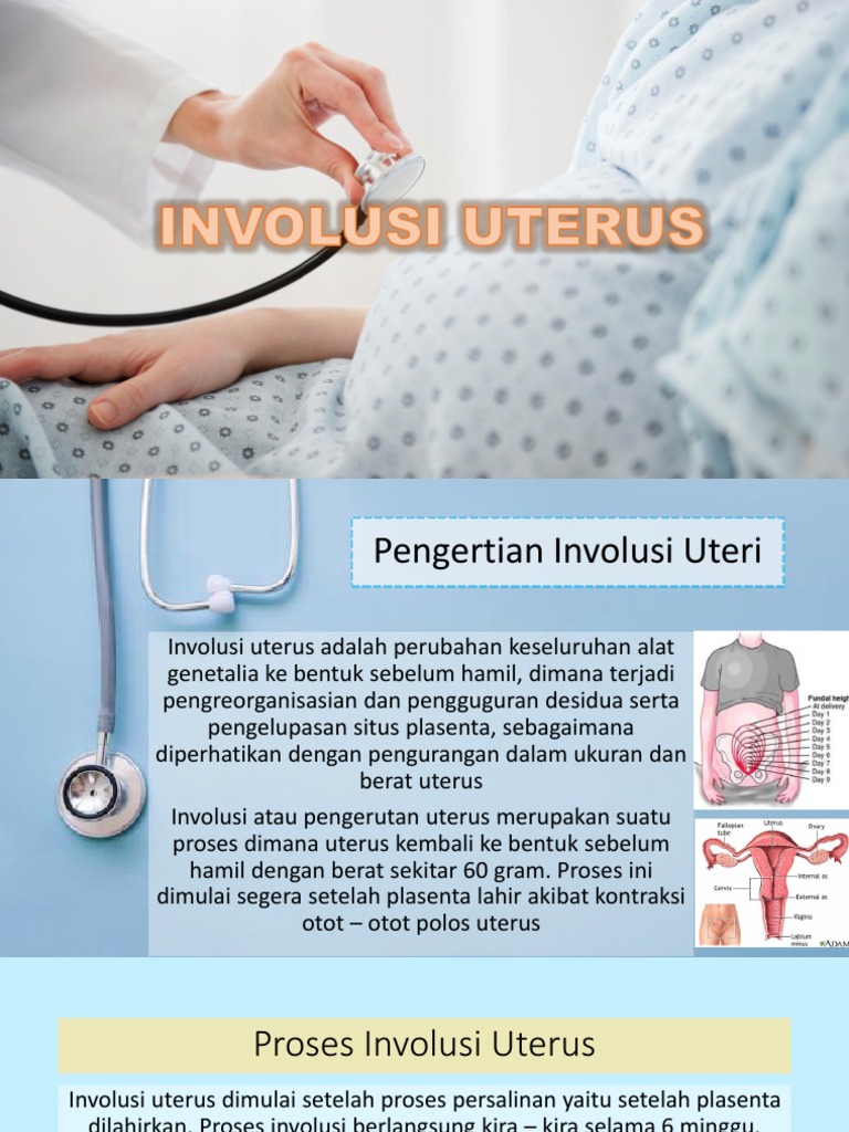 Involusi Uterus | PDF