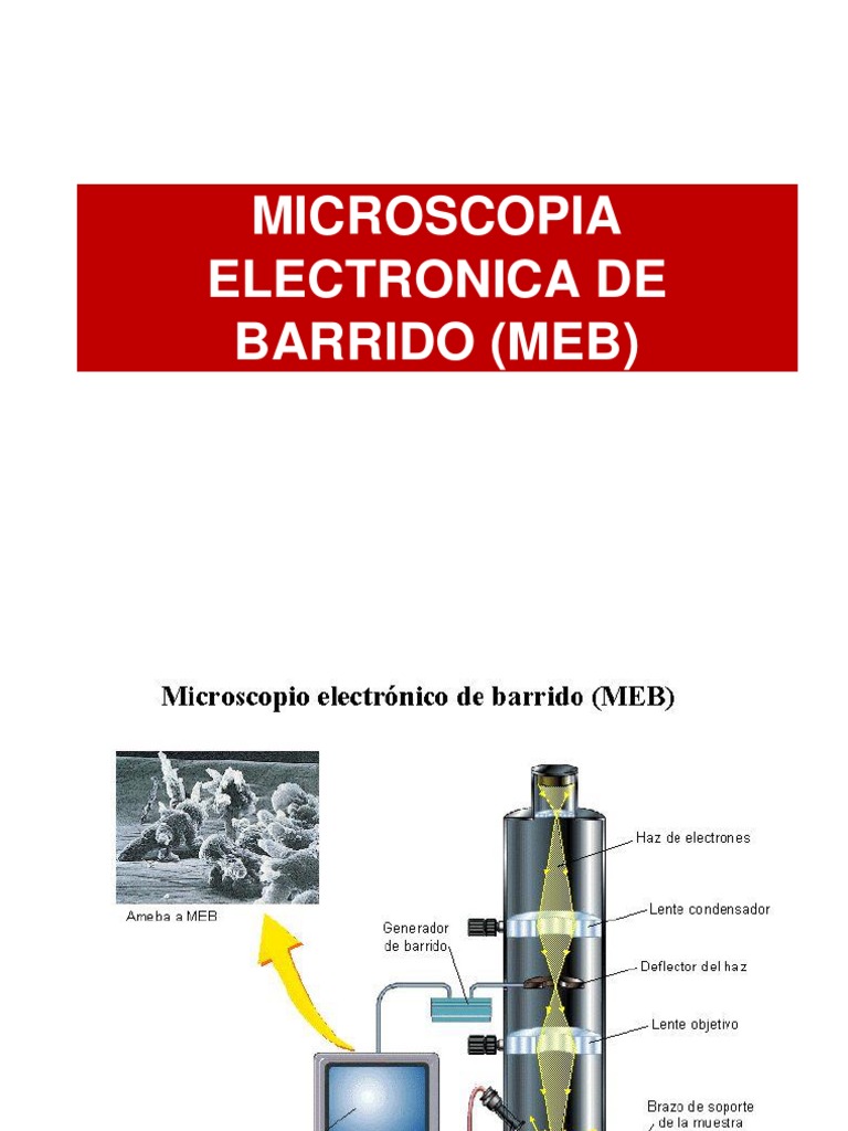 Microscopía Electrónica De Barrido Meb Pdf Cobre átomos