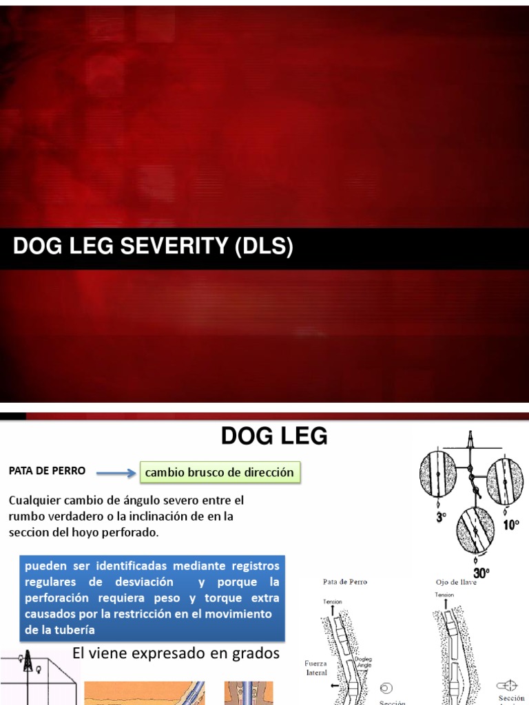 Dog Leg Severity | PDF | Enseñanza de matemática | Naturaleza