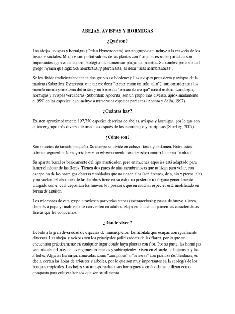 Insectos Sociales: Clave Ecológica | PDF | Abejas | Hormiga