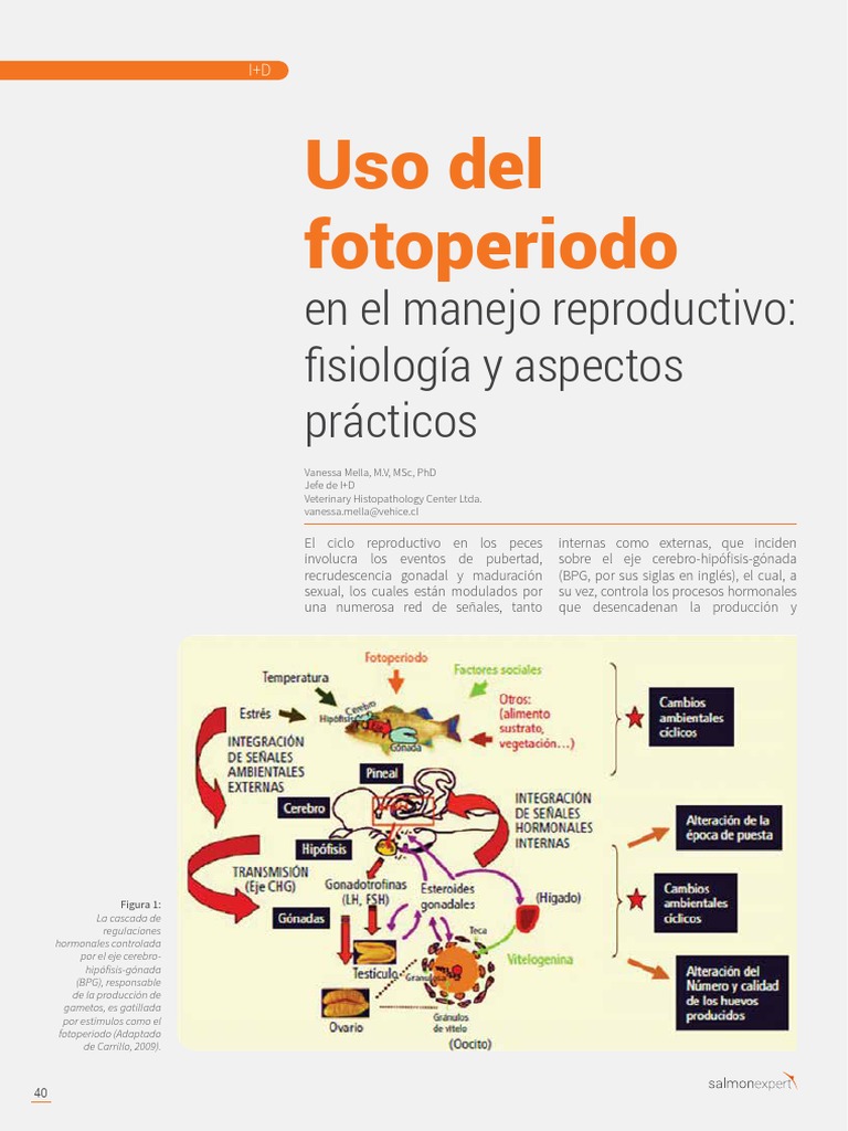 Uso Del Fotoperiodo en El Manejo Reproductivo | PDF | Ligero | Pescado