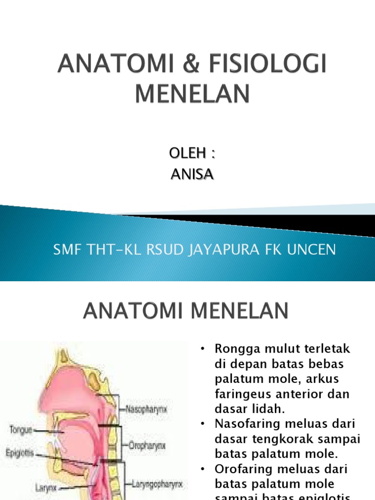 Anatomi & Fisiologi Menelan | PDF