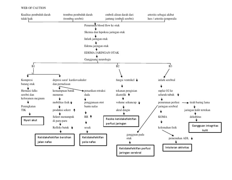 Web of Caution | PDF