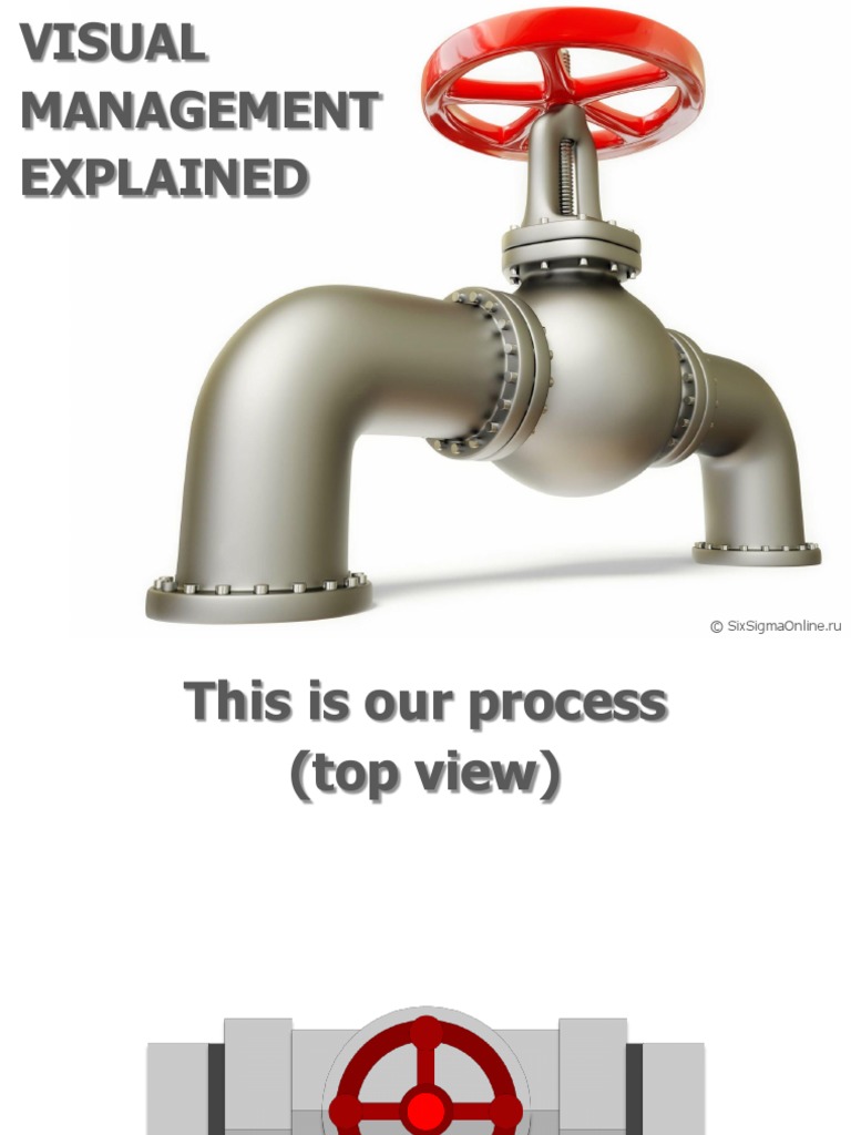 Visual Management Explained | PDF
