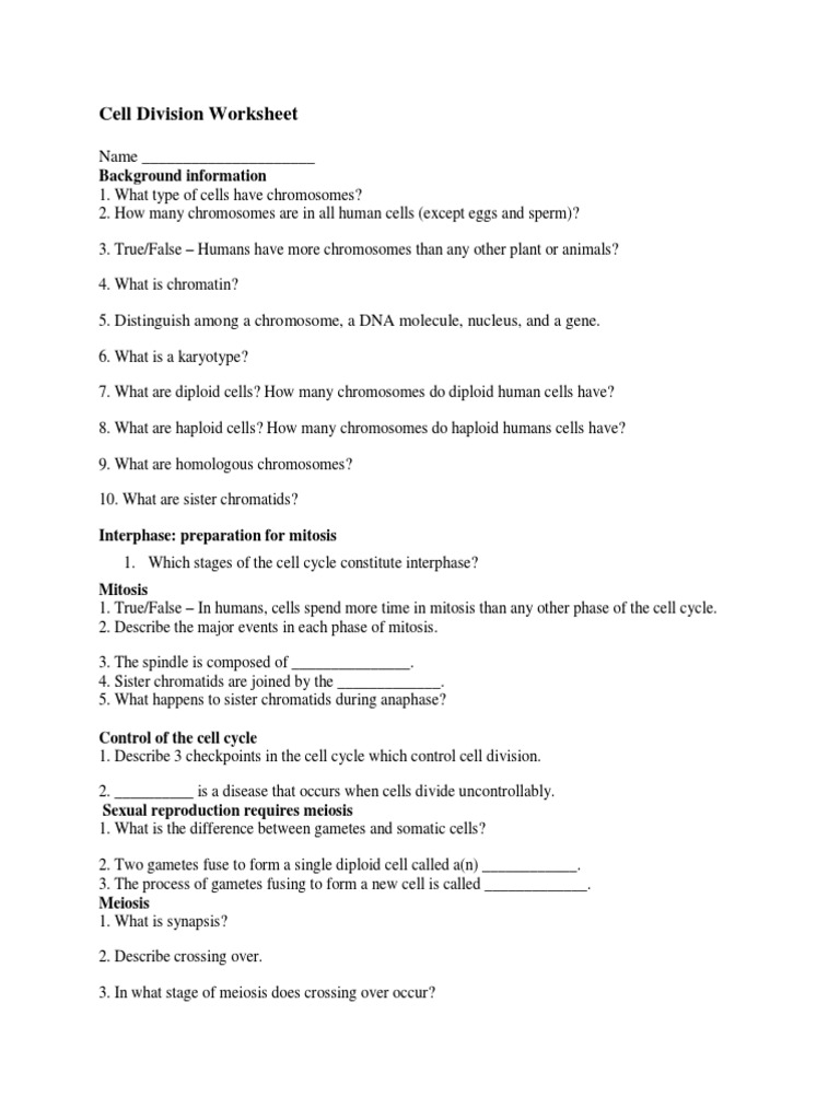 Cell Division Worksheet | PDF | Meiosis | Mitosis